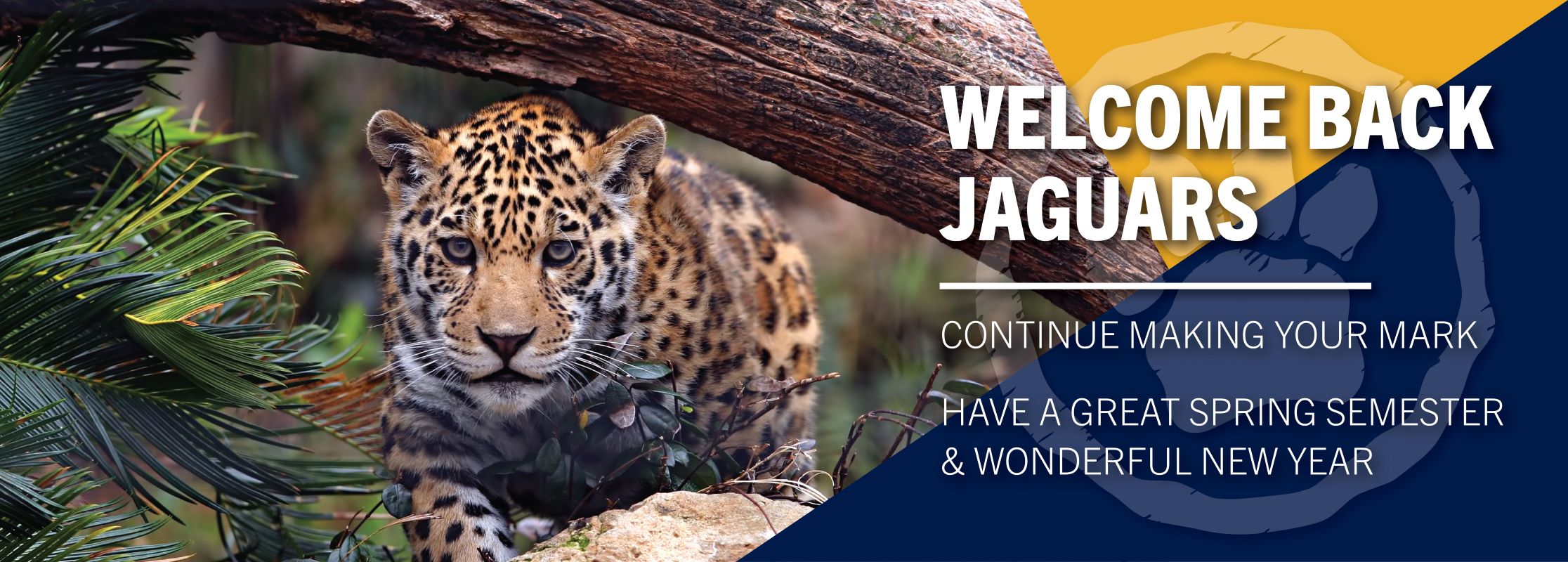 Southern University Shreveport Louisiana